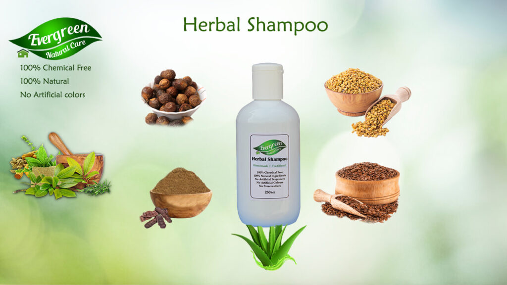 Herbal Shampoo - Evergreen Natural Care